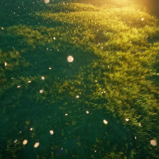 s041 Healing Melody｜Royalty Free Music（無料音楽） | project of napskint